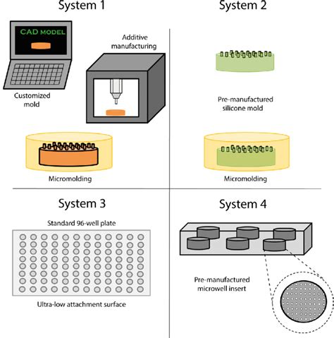Graphic View Of The Four Selected Microwell Array Systems With Similar