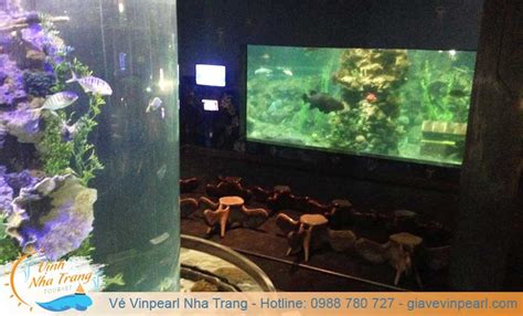 Nang Tien Ca Thuy Cung Vinpearl Land Nha Trang Giá Vé Vinwonders Nha