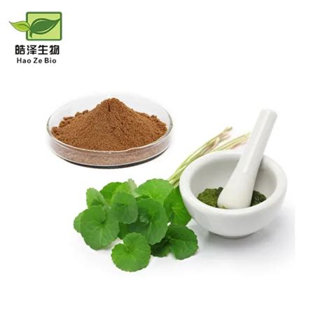 Hot Selling Plant Extract Gotu Kola Extract Centella Asiatica Powder