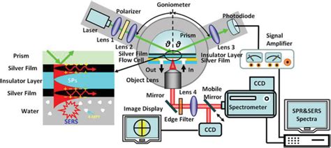 Schematic Diagram Of The Spr Sers Micro‐spectrometer Reproduced With Download Scientific