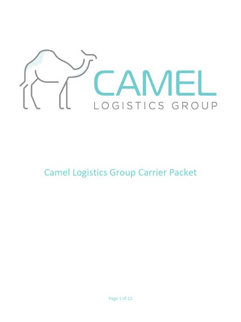 Camel Logistics Group Carrier Packet Pdf Indemnity Insurance