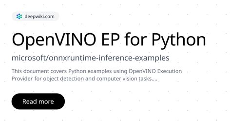 Openvino Ep For Python Microsoftonnxruntime Inference Examples