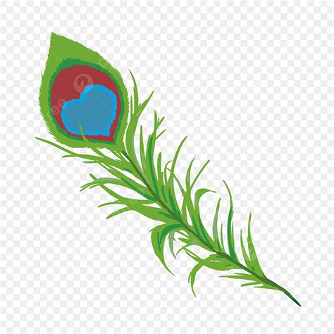 Peacock Feathers Clip Art Free