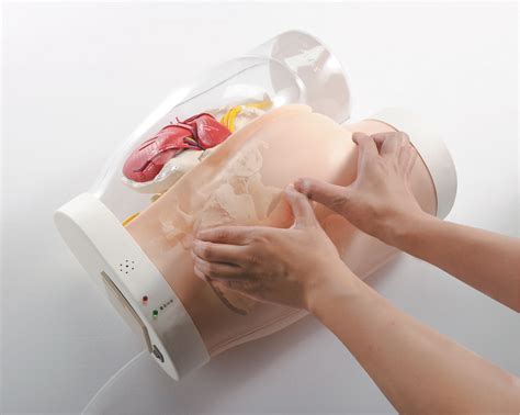 Intramuscular Injection Model Of Buttocks Light Adam Rouilly