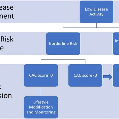 Proposed Framework For ASCVD Primary Prevention In HMGCR Associated Download Scientific Diagram