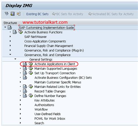 Sap Grc How To Activate Applications In Client