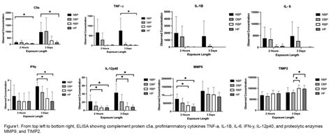 Allogenic Recellularization Of Bovine Pericardium Using Human