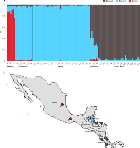 Genetic Structure In Mesoamerican Jaguars Results Were Obtained From