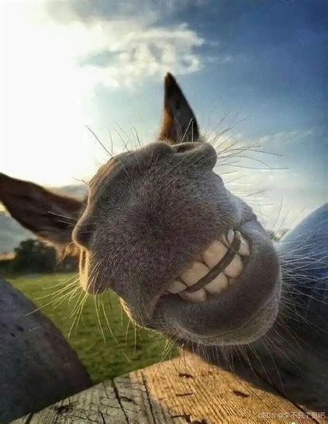 前端开发常用命令行工具及操作命令(nodejs 和 Npm、yarn、vue、react、git、webpack)前端命令行工具 Csdn博客 前端开发常用命令行工具及操作命令(nodejs 和 Npm、yarn、vue、react、git、webpack)前端命令行工具 Csdn博客