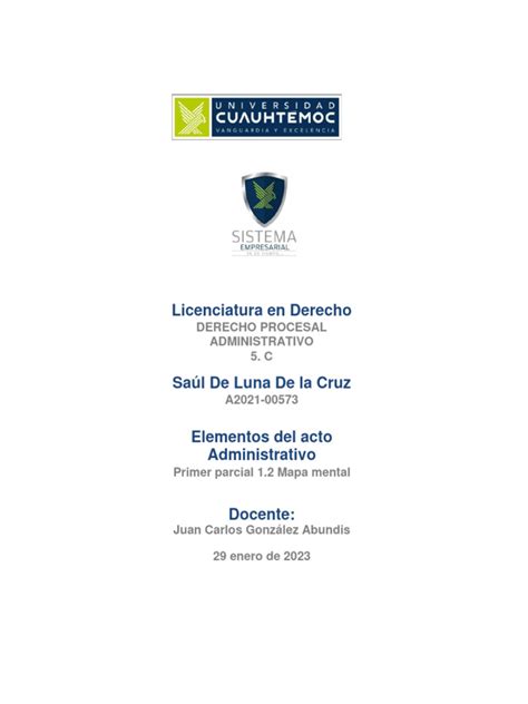 12 Elementos Del Acto Administrativo Pdf Ciencias Políticas Justicia