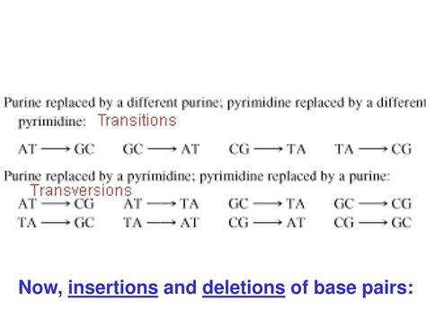 Ppt A A Mutation Forward Mutation Powerpoint Presentation
