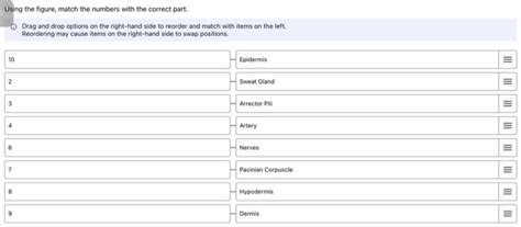Solved Using The Figure Match The Numbers With The Chegg