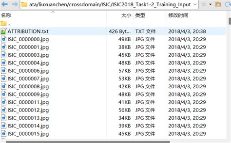Question About ISIC Dataset Issue Slei PATNet GitHub