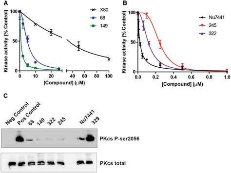 Dna Pk Activity Is Inhibited By Ku Targeted Agents A And B Kinases