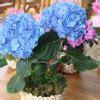 Como Fazer Arranjos De Flores Clube Noivas