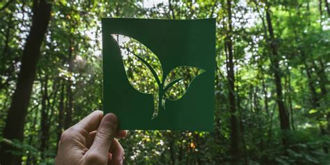 Eco Friendly Travel Tips For Responsible And Sustainable Tourism