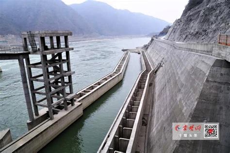 十堰为让鱼儿找到回家的路汉江建设一条千米生态鱼道