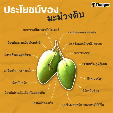 มะม่วงดิบ ประโยชน์ โทษ ผลไม้เปรี้ยวจี๊ด คุณค่าโภชนาการสูง Thaiger ข่าวไทย