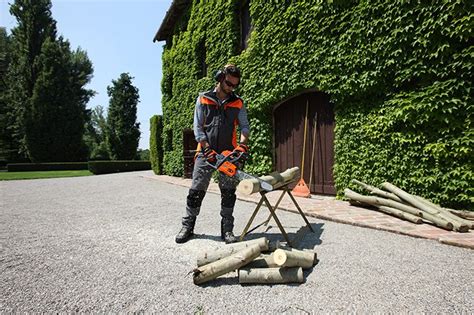 All The Necessary Steps For Building A Tree House Oleomac