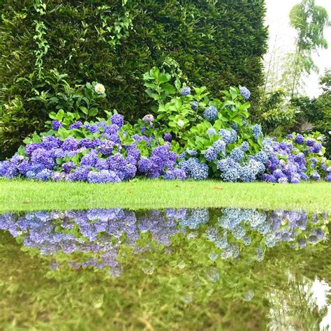 く お り 亭 か ら の お 知 ら せ ／ 雨が多くなってくる季節ですが、こんな素敵な風景が楽しめるのも雨のおかげと思えば、湿っぽい