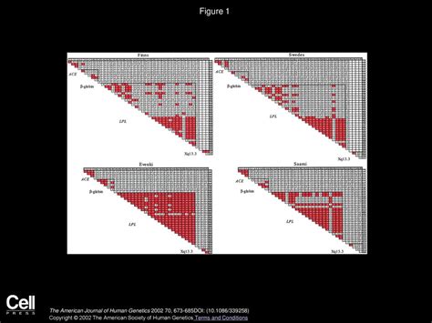 Extensive Linkage Disequilibrium In Small Human Populations In Eurasia Ppt Download