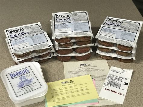 Top 5 Reasons Why Darwins Raw Dog Food Is Great For Big Dogs