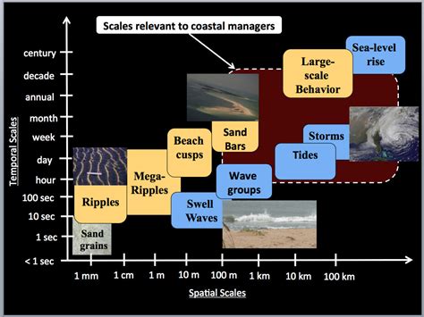 Examples Of Spatial And Temporal Scales For Hydrodynamic And Morphodyn