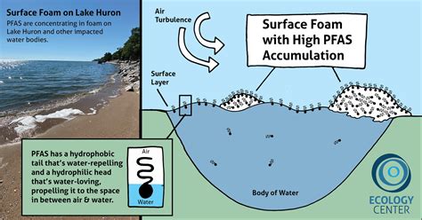 Pfas In Lake Huron Foam Community Monitoring And Testing Ecology Center