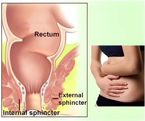 Health Benefits Of Mens Anal Sex Top Sellers