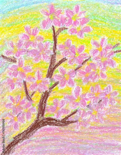오일 파스텔로 그린 봄의 벚꽃 Stock Illustration Adobe Stock