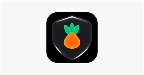 Buddy Onion Tor Browser Vpn On The App Store