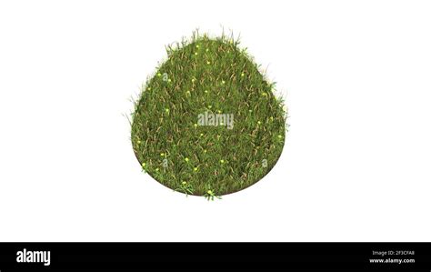 3d Rendered Grass Field With Colorful Flowers In Shape Of Symbol Of Egg