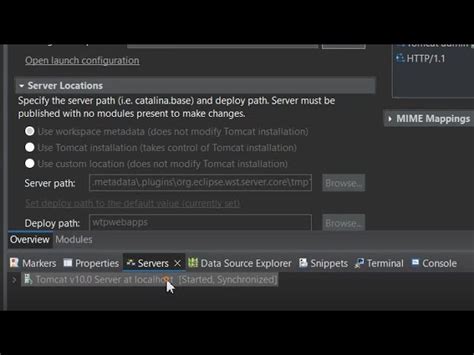 Java Why Tomcat Server Location Property Is Greyed In