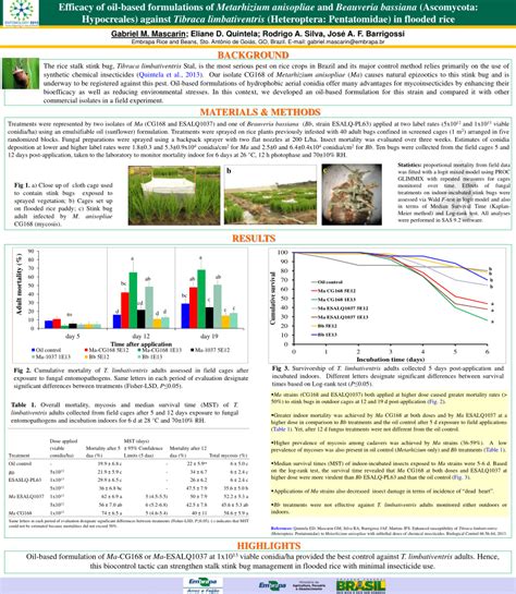Pdf Efficacy Of Oil Based Formulations Of Metarhizium Anisopliae And Beauveria Bassiana