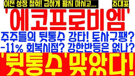 에코프로비엠 📌주주들의 뒷통수 강타 11 회복시점 강한반등 어렵나 급하게 팔기전 꼭 확인할 구간 이렇게 대응하세요~ 에코프로비엠 에코프로비엠주가