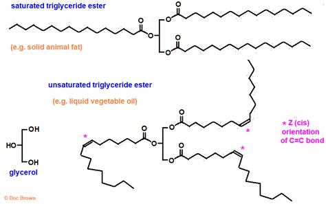Molecular Structure Saturated Unsaturated Fatty Acids Glyceride Esters