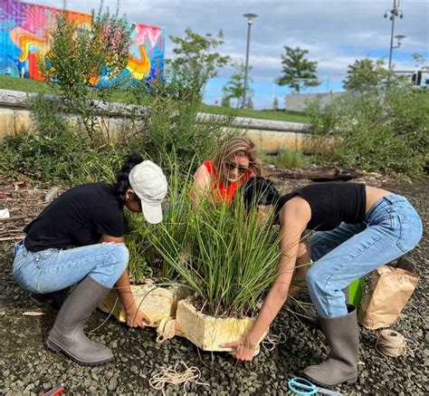 Risd Researchers Create Floating Mycelium Pods To Cleanse Waterways