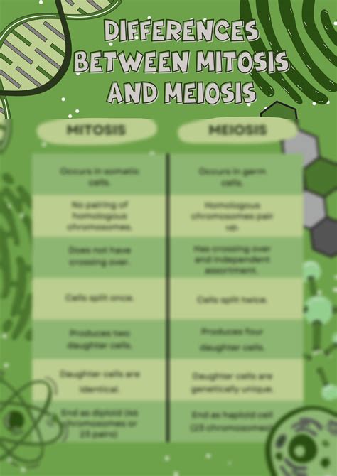 SOLUTION Differences Between Mitosis And Meiosis Studypool