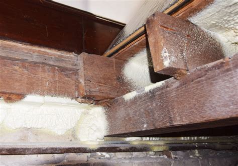 Floor StructureResilience Treatments And Priorities Disaster Proof Texas