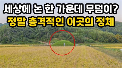 동네 할머니가 사람 무덤이 아니라는 데 아니 그럼 도대체 이 무덤 정체가 뭐죠｜정체를 알고 진짜 깜짝 놀랐습니다｜오지는 오진다