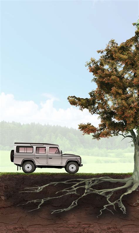 Tree Root Protection Geoworks