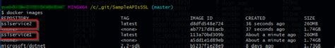 Create Docker Images With SSL Kestrel API Service Azure Talk