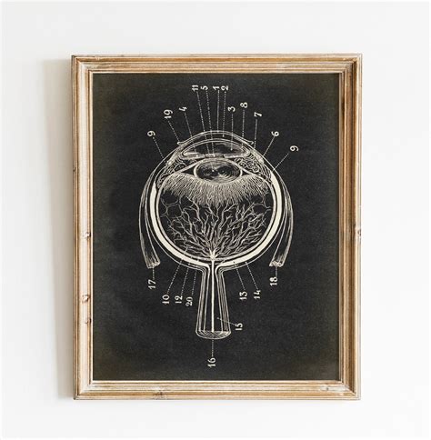 Anatomy Print PRINTABLE Vintage Illustration Human Anatomy Medical Science Art Anatomical