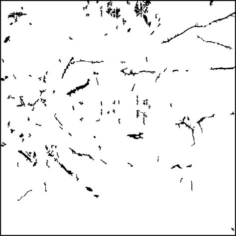 Root Identification In Minirhizotron Imagery With Multiple Instance