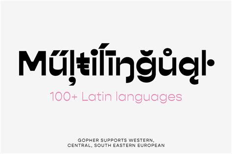 Gopher Font Dfonts