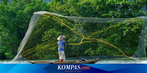 Ikan Bilih Di Danau Singkarak Terancam Punah DKP Sumbar Ultimatum