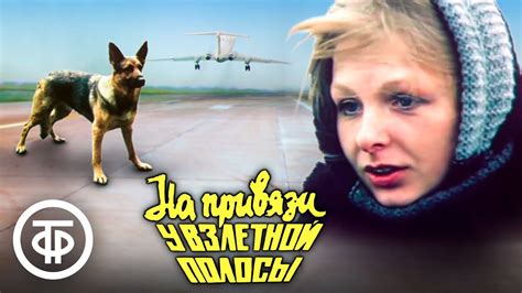 На привязи у взлетной полосы Фильм основанный на реальных событиях