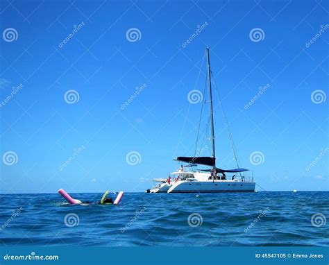 Snorkelling Trip On The Great Barrier Reef Australia Stock Image