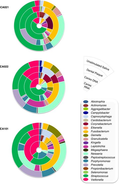 Metatranscriptomics Reveals Overall Active Bacterial Composition In Caries Lesions Abstract