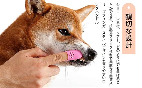 Amazon Co Jp Liroyal